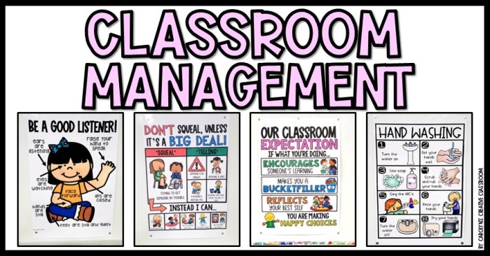 Classroom Management Anchor Charts